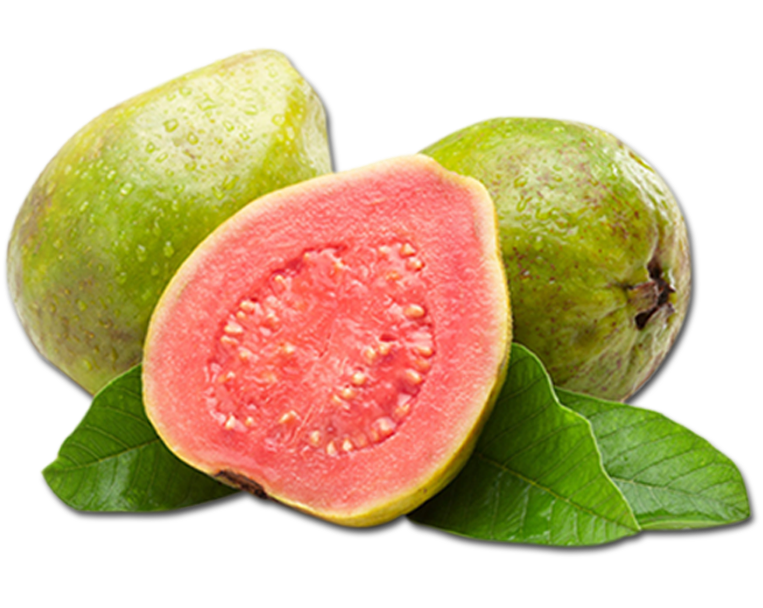 Dryer Extract bisa ubah Cair Jadi Serbuk ? - Maxzer Industri